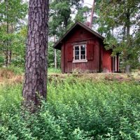 Events – KADDY BENYON